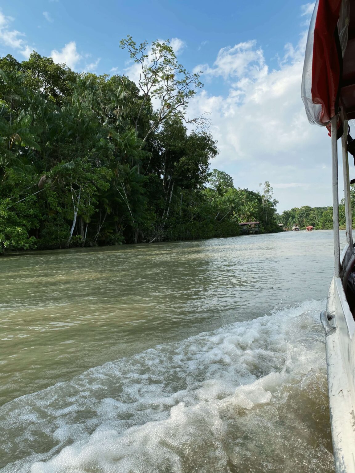 O que fazer em Belém do Pará: Ilha do Combu | VOU CONTIGO